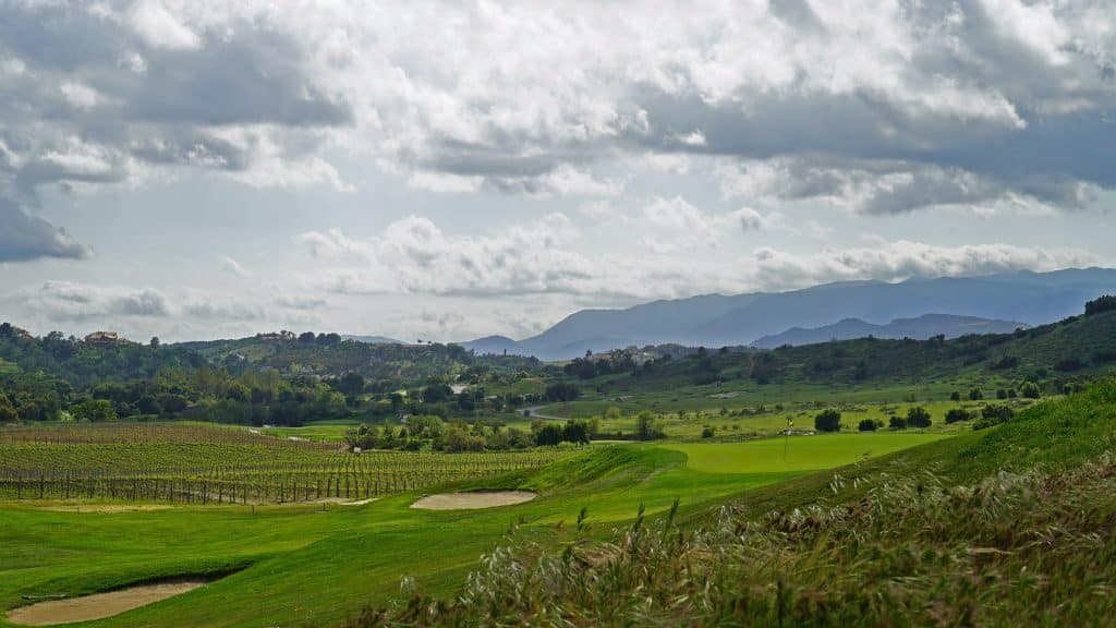 2024 Wine Country Golf Tournament Results - Amateur Players Tour